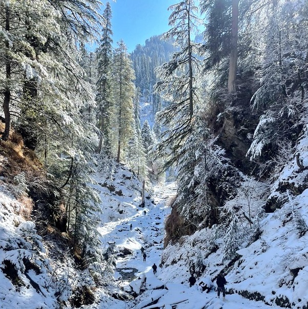 1 Terrorist killed in Operation by Secuirty Forces in Kishtwar Forest area