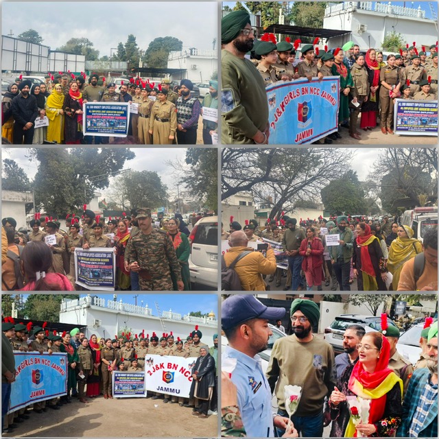 Traffic Awareness Rally Held in Gandhinagar, Promoting Road Safety and ...