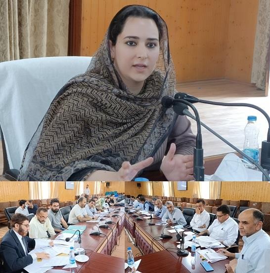 DC Baramulla reviews progress under District Capex, Languishing ...